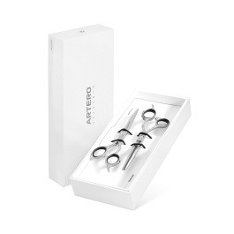 ARTERO SET 2 PZAS MYSTERY 6"